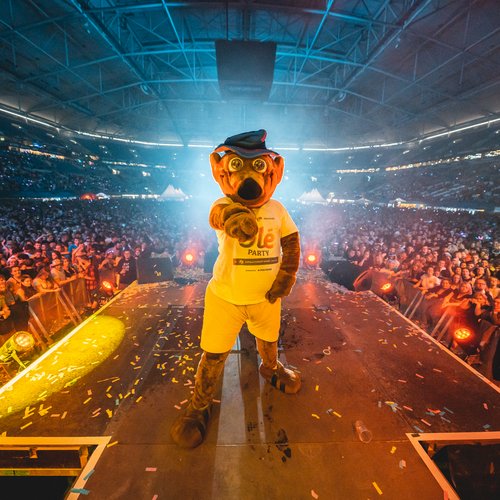 Büffel, Stier und Bull Riding: Veterano Osborne auf den Olé-Parties ...